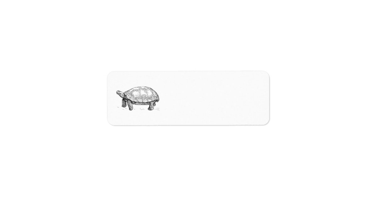 Tortoise Label | Zazzle