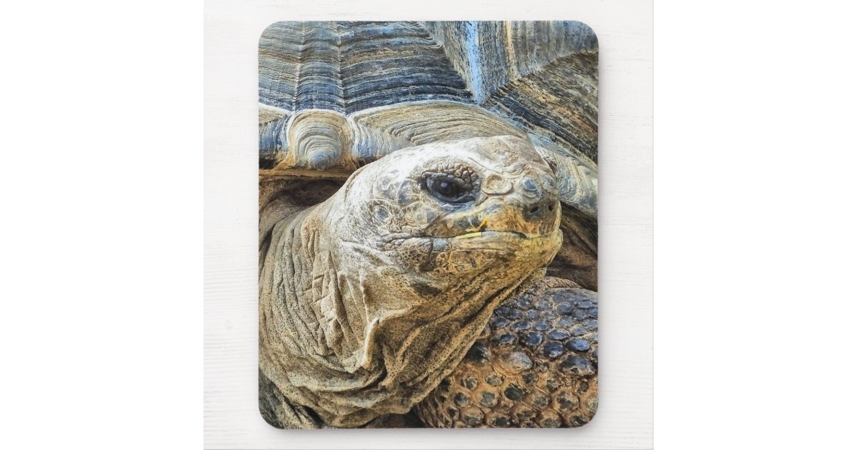 TORTOISE MOUSE PAD | Zazzle