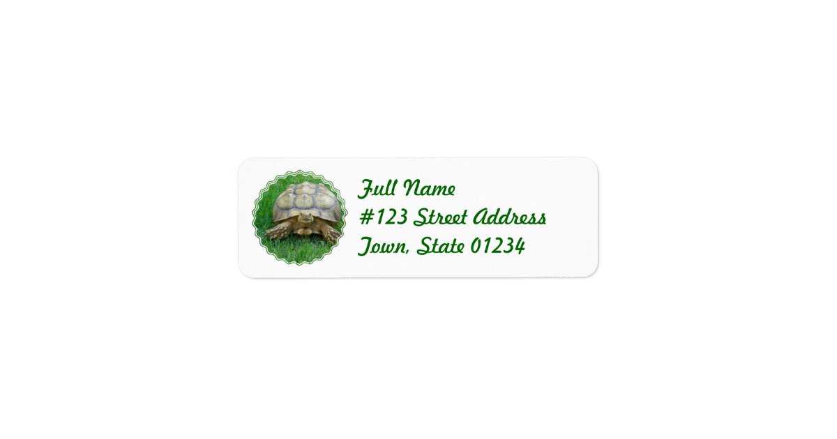 Tortoise Return Address Label | Zazzle