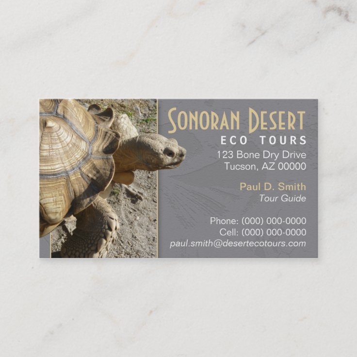 Tortoise/Turtle Business Card | Zazzle