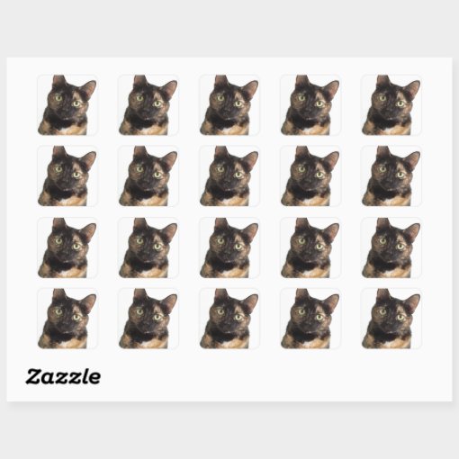 Tortoiseshell Cat Square Sticker | Zazzle