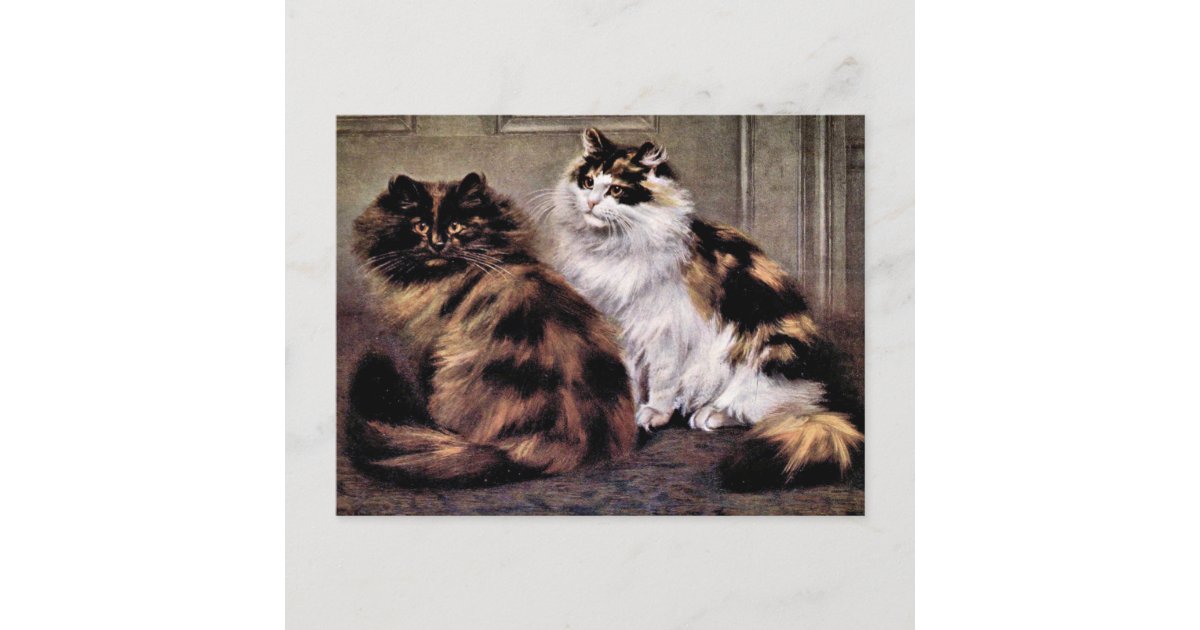 Tortoiseshell Persian Cats Art Postcard | Zazzle
