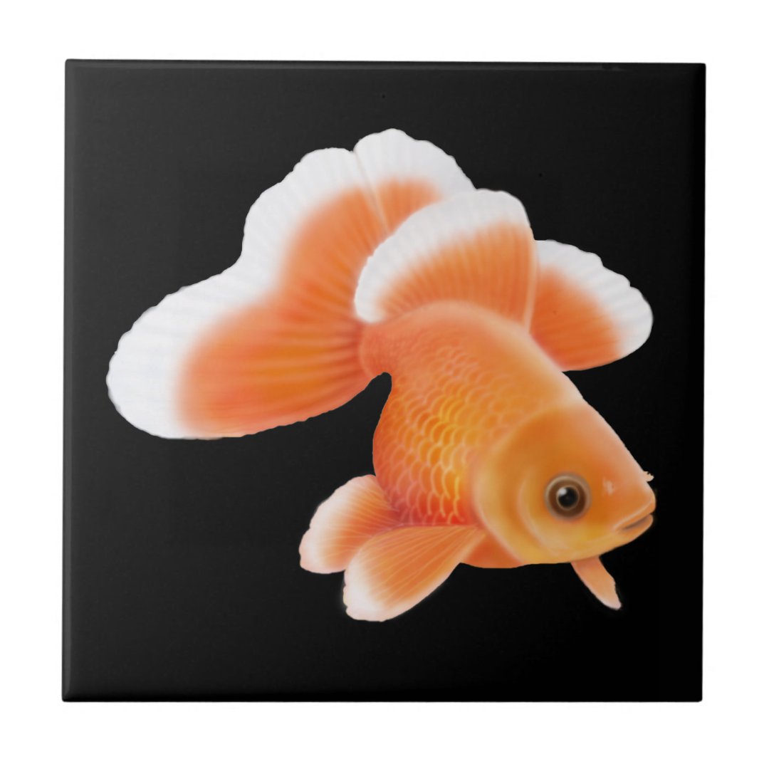 Tosakin Fantail Goldfish Tile | Zazzle