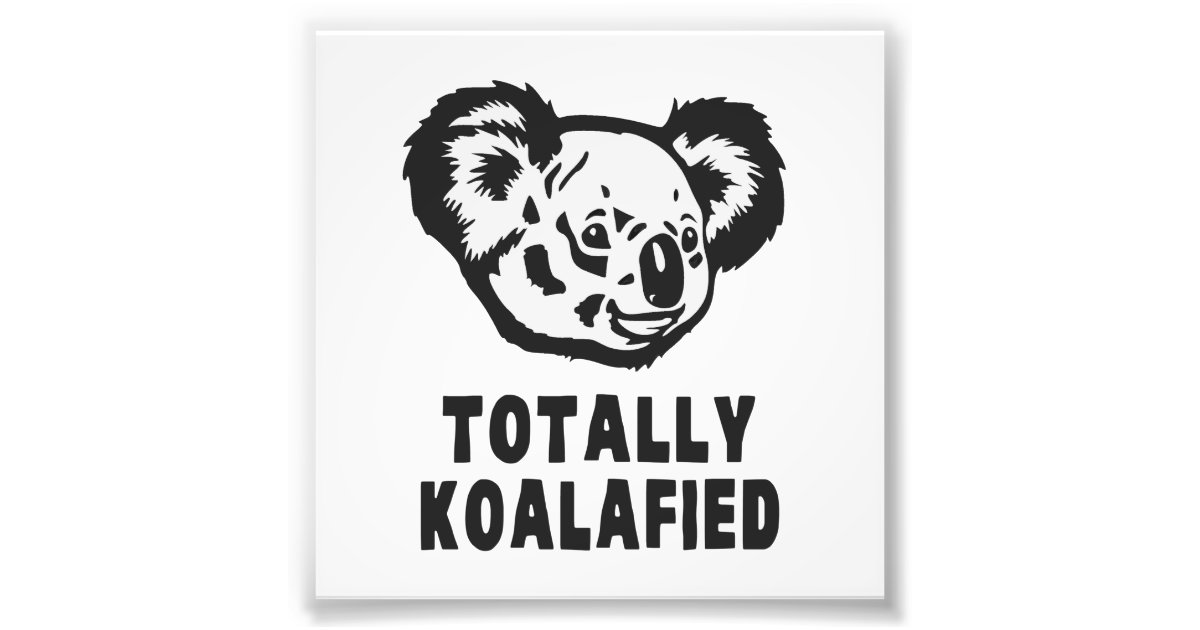 Totally Koalafied Koala Photo Print | Zazzle
