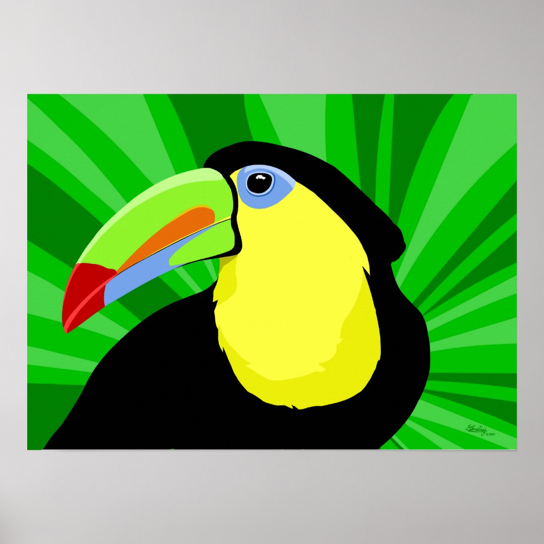Toucan Art Posters and Prints | Zazzle
