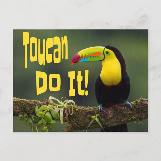 Toucan Do It! Colorful Bird Motivational Funny Pun Postcard | Zazzle