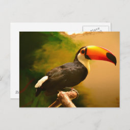 Toucan Postcard | Zazzle