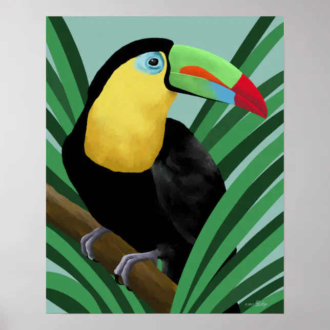 Toucan Poster Print | Zazzle