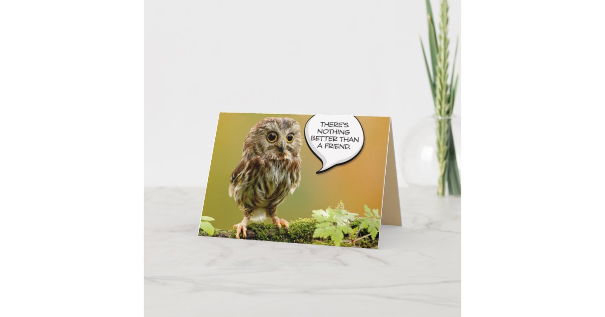 “Tough Baby Owl” Friendship Card | Zazzle