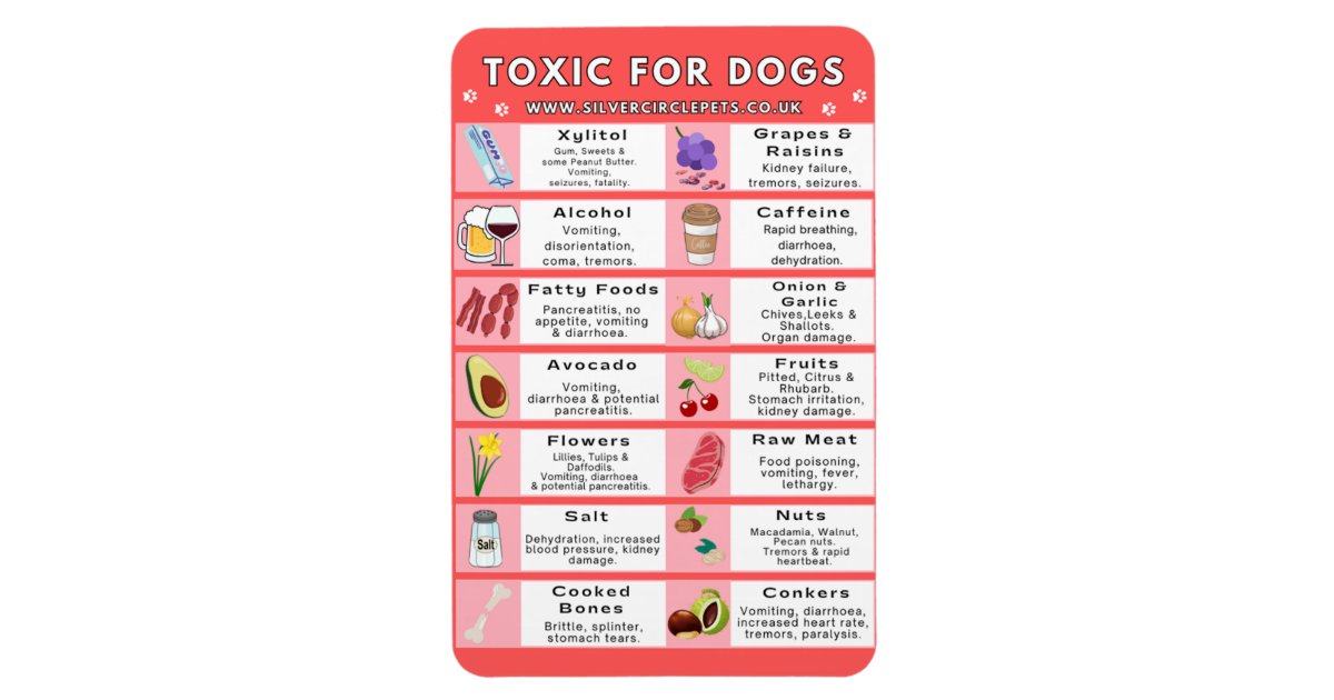 Toxic Foods for Dogs Fridge Magnet | Zazzle