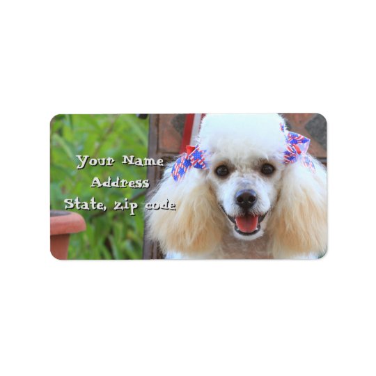 Toy Poodle puppy address labels | Zazzle.com