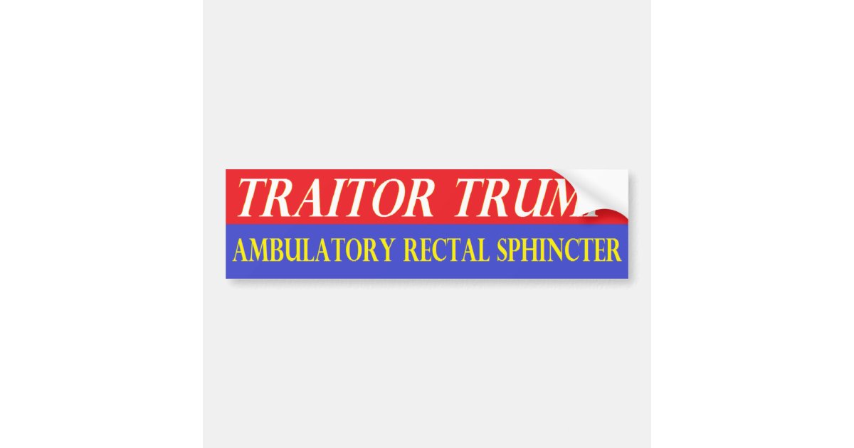 Traitor Trump Bumpersticker Bumper Sticker | Zazzle