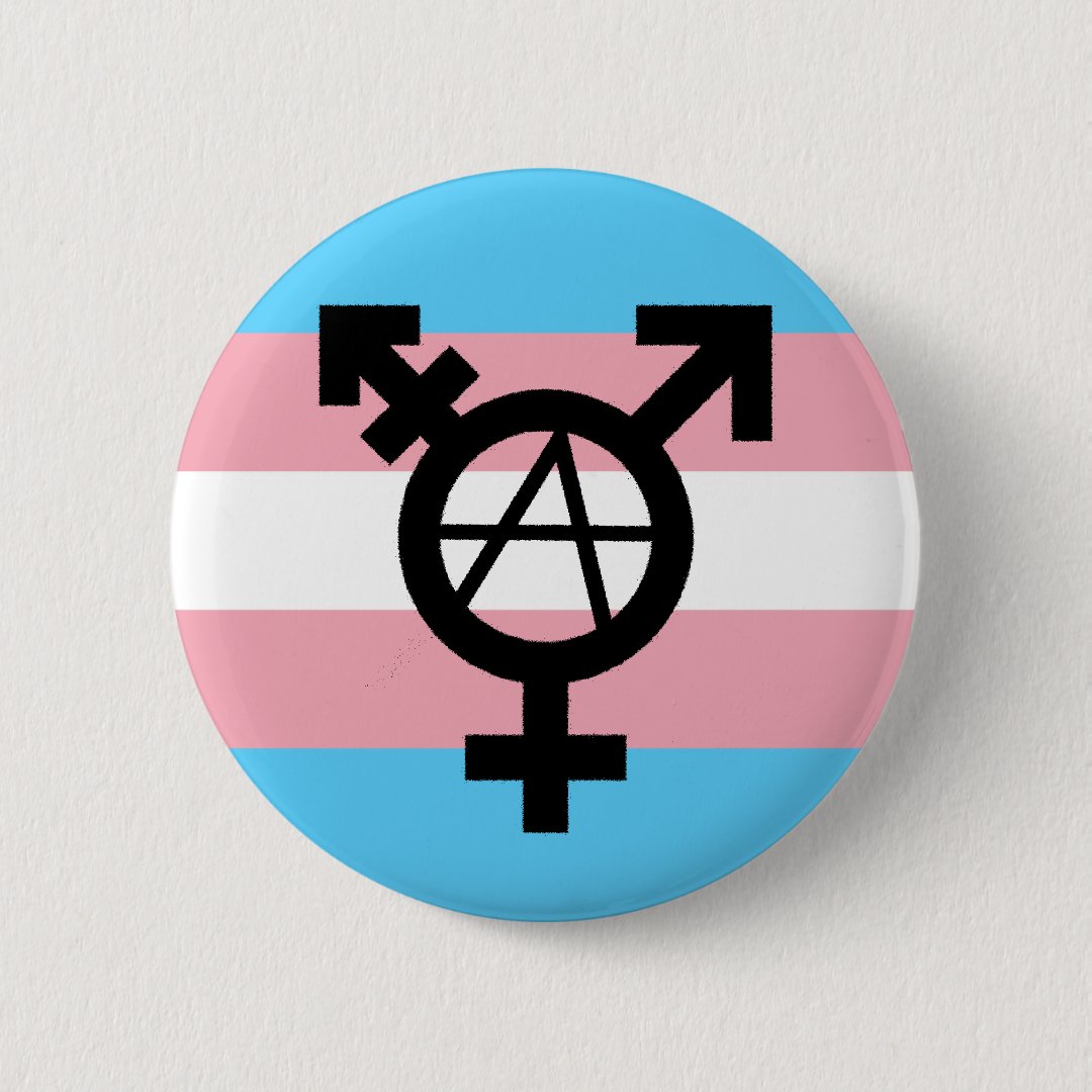 Trans Anarchy Flag Button | Zazzle
