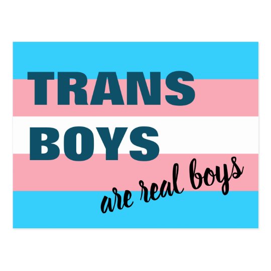 Trans Boys Are Real Boys Transgender Flag Postcard | Zazzle.com