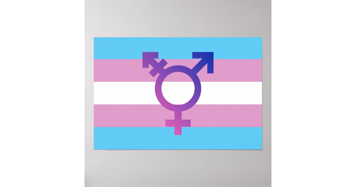 Trans Pride Flag Poster Zazzle