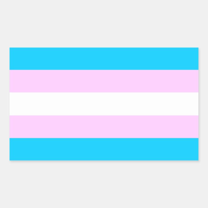 Trans pride flag stickers | Zazzle.com