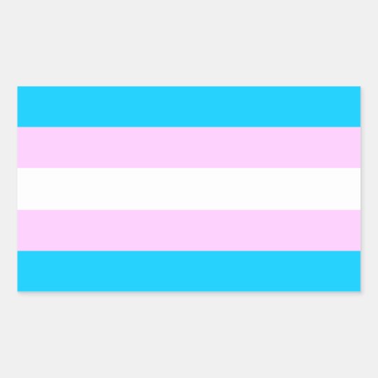 Trans Pride Flag Stickers