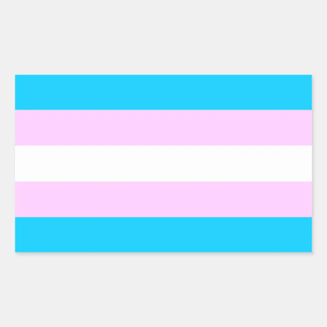 Trans pride flag stickers | Zazzle