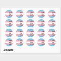 Trans Pronoun Stickers: She, Her, Hers Classic Round Sticker | Zazzle