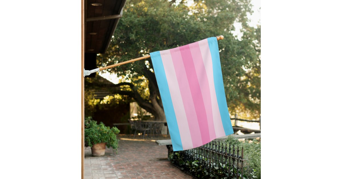 Transfeminine Pride House Flag | Zazzle