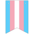 Transgender Flag Party Signs Banners Garland | Zazzle