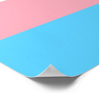 Transgender flag Poster | Zazzle