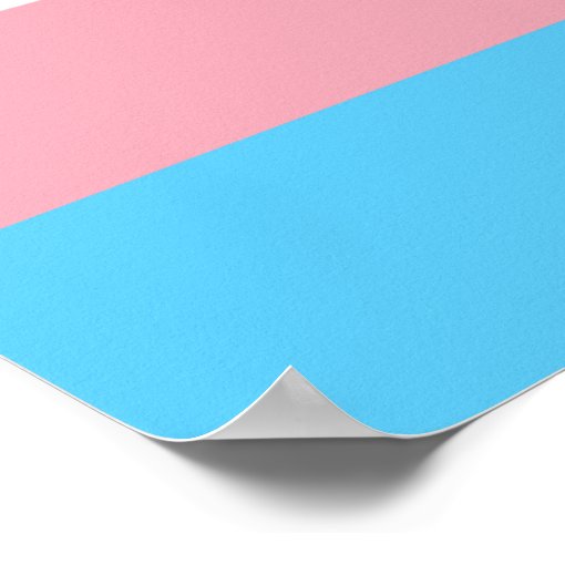 Transgender flag Poster | Zazzle