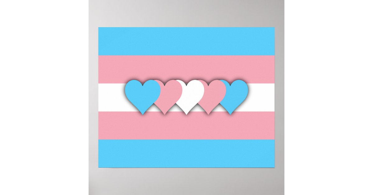 Transgender flag Poster | Zazzle