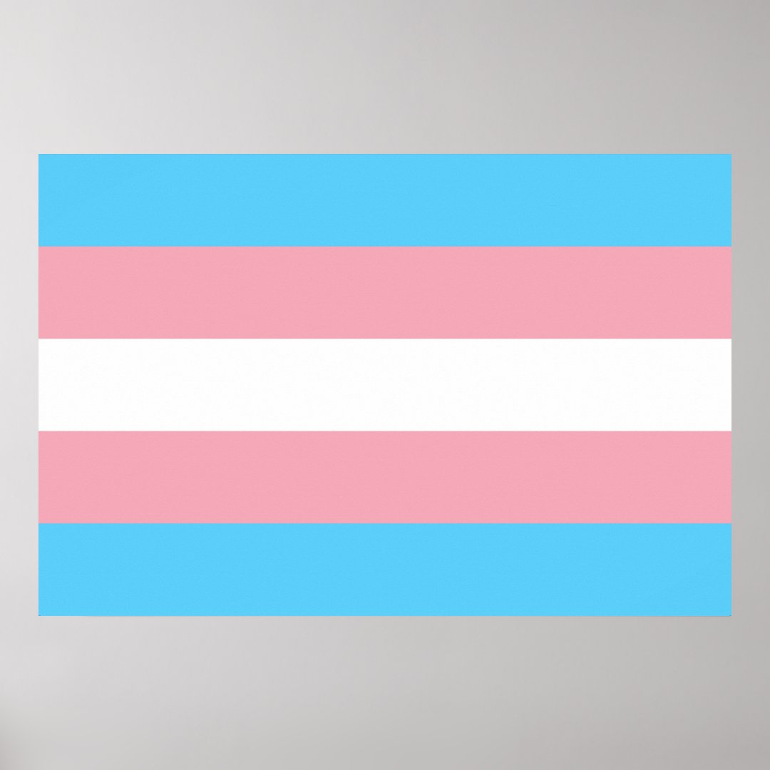 Transgender flag trans pride LGBT symbol gay homos Poster | Zazzle
