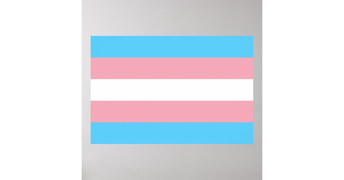 Transgender flag trans pride LGBT symbol gay homos Poster | Zazzle