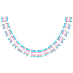 Transgender Pride Custom Bunting Flags | Zazzle