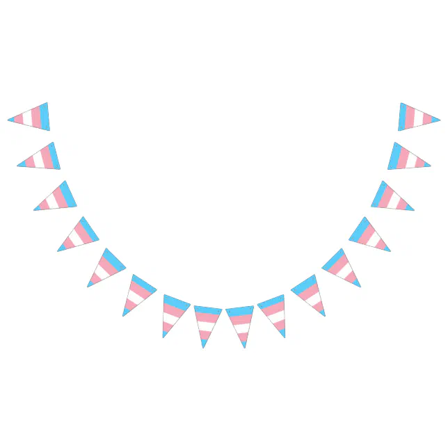 Transgender pride flag banner | Zazzle