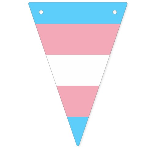 Transgender pride flag banner | Zazzle