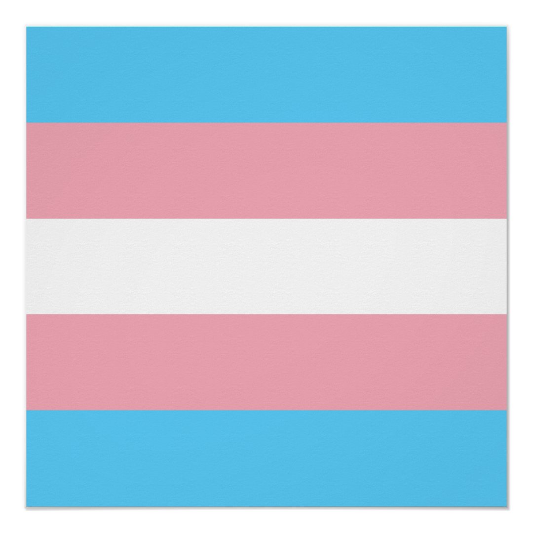 Transgender Pride Flag - LGBT Rainbow Poster | Zazzle