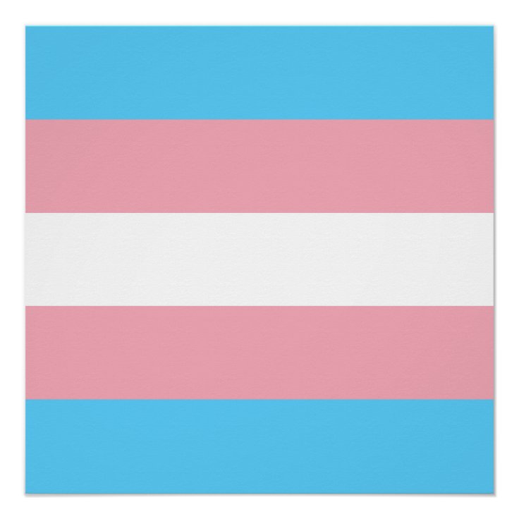 Transgender Pride Flag - LGBT Rainbow Poster | Zazzle