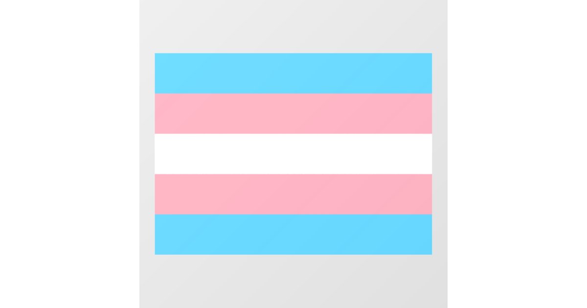 Transgender Pride Flag Window Cling | Zazzle