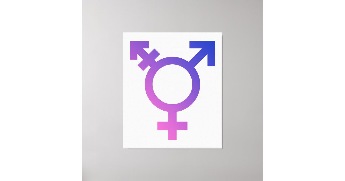 Transgender Symbol Logo Canvas Print | Zazzle