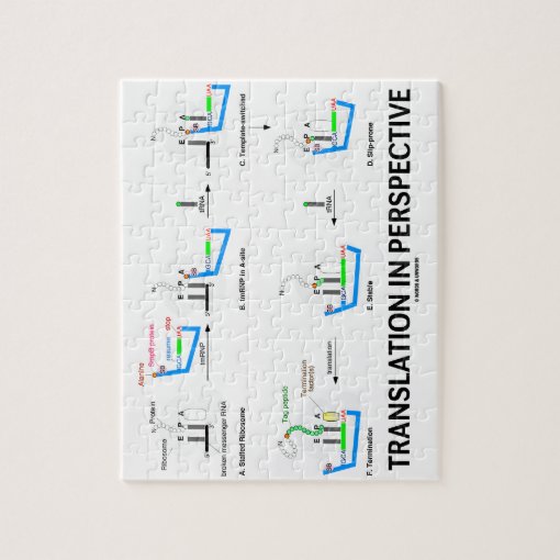 Translation In Perspective (tRNA Biology Protein) Jigsaw Puzzle | Zazzle