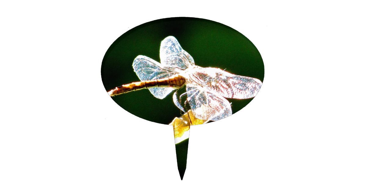 Transparent dragonfly cake topper | Zazzle