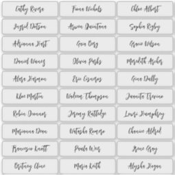Transparent modern script guest names sticker | Zazzle