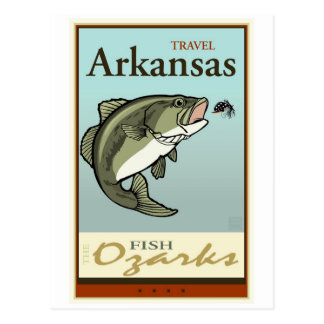Fly Fishing Cards | Zazzle
