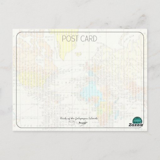 Travel Sketch Postcard: Birds of the Galapagos Postcard | Zazzle