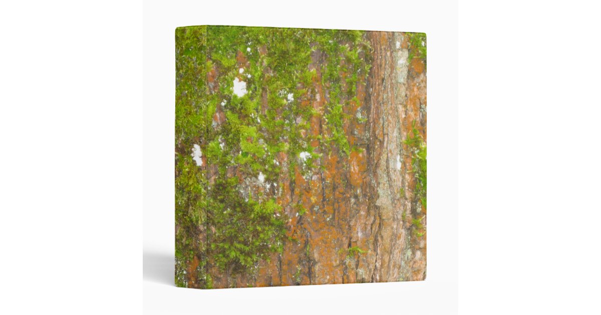 Tree Bark and Moss Binder | Zazzle