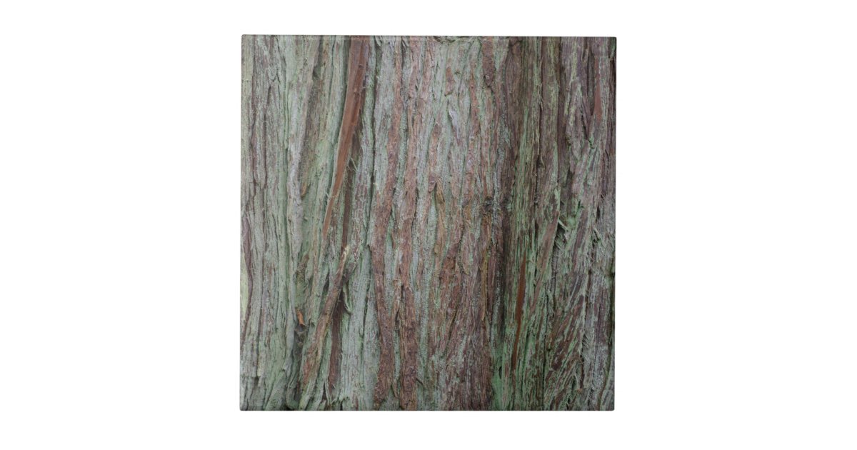 Tree Bark Ceramic Tile | Zazzle