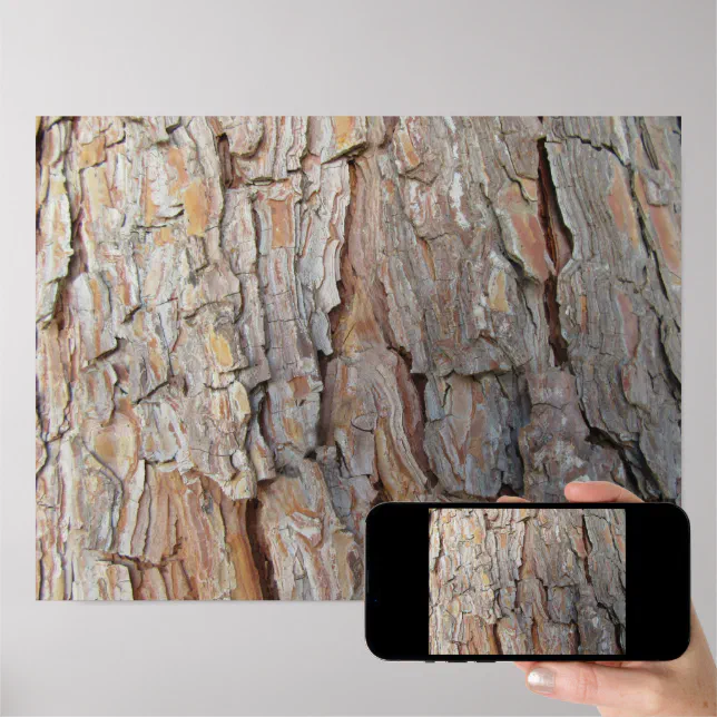 Tree Bark Fall Autumn Patterns Poster | Zazzle