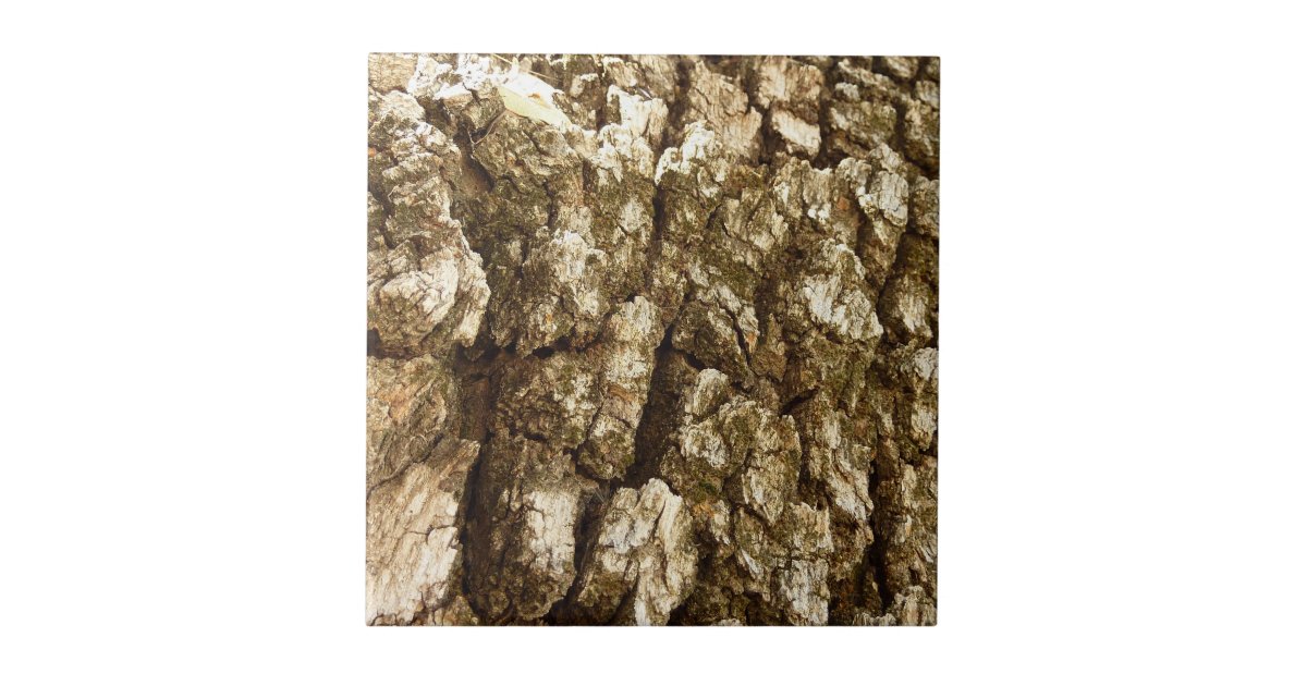 Tree Bark II Natural Textured Design Tile | Zazzle