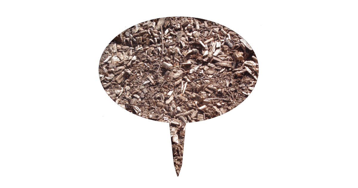 Tree bark, Nature, Brown Cake Topper | Zazzle