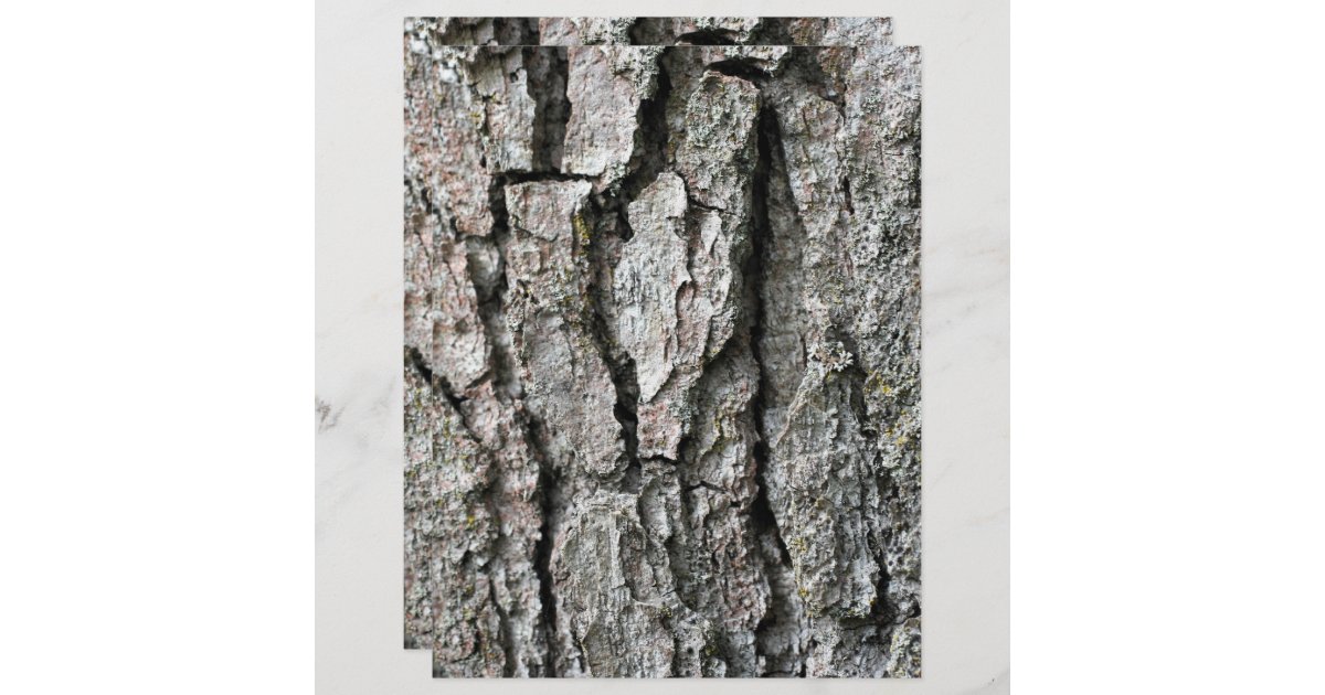 Tree Bark Nature Scrapbook Paper | Zazzle