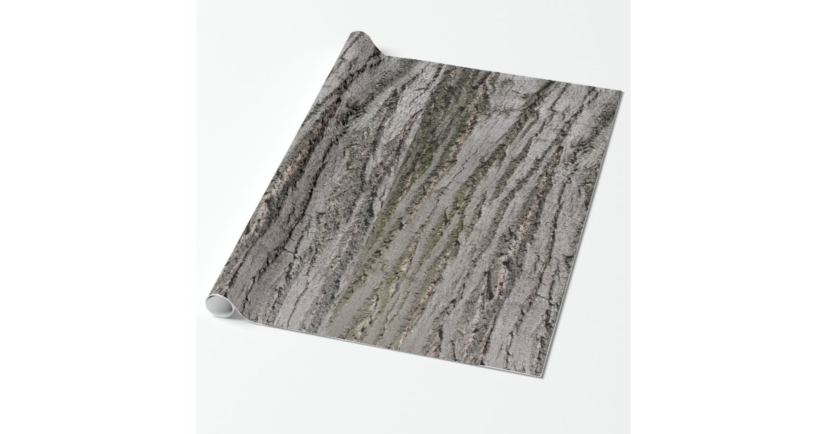 tree bark texture pattern nature plant wrapping paper | Zazzle