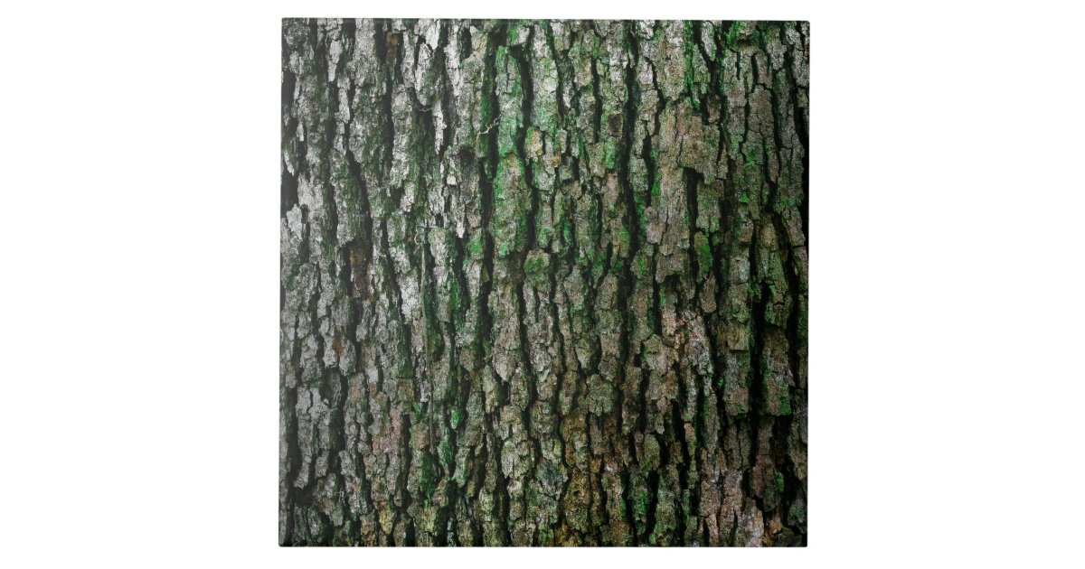 Tree bark texture tile | Zazzle